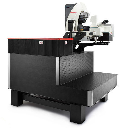 Microscopio da laboratorio - SP8 DIVE - Leica Microsystems GmbH - confocale / ad alta velocità ...