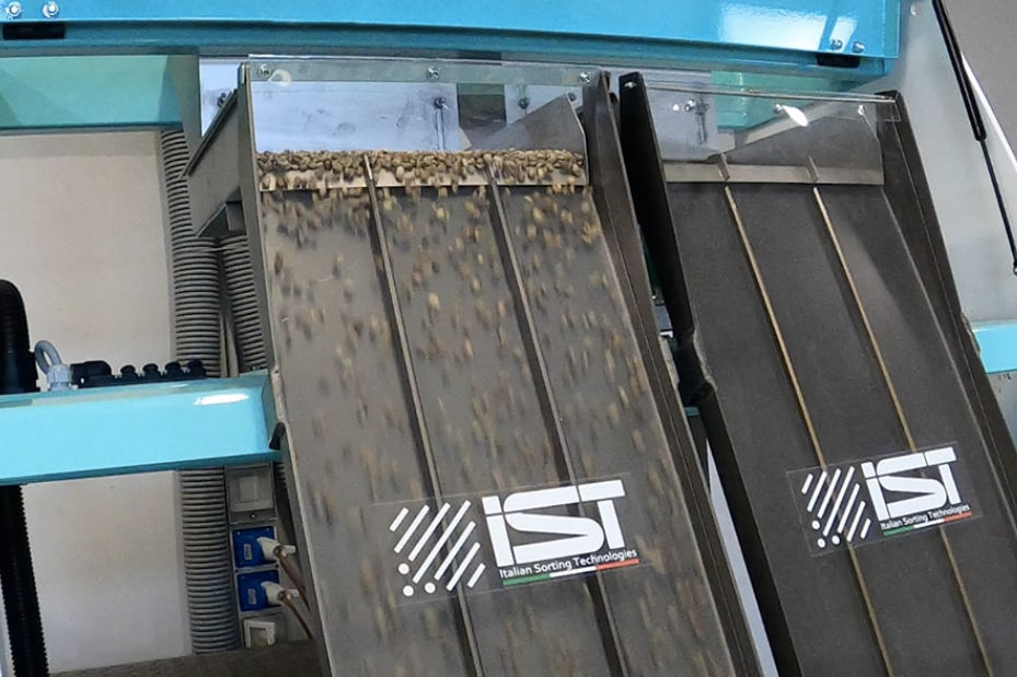 Smistatore per l'industria agroalimentare - I.S.T. ITALIAN SORTING ...