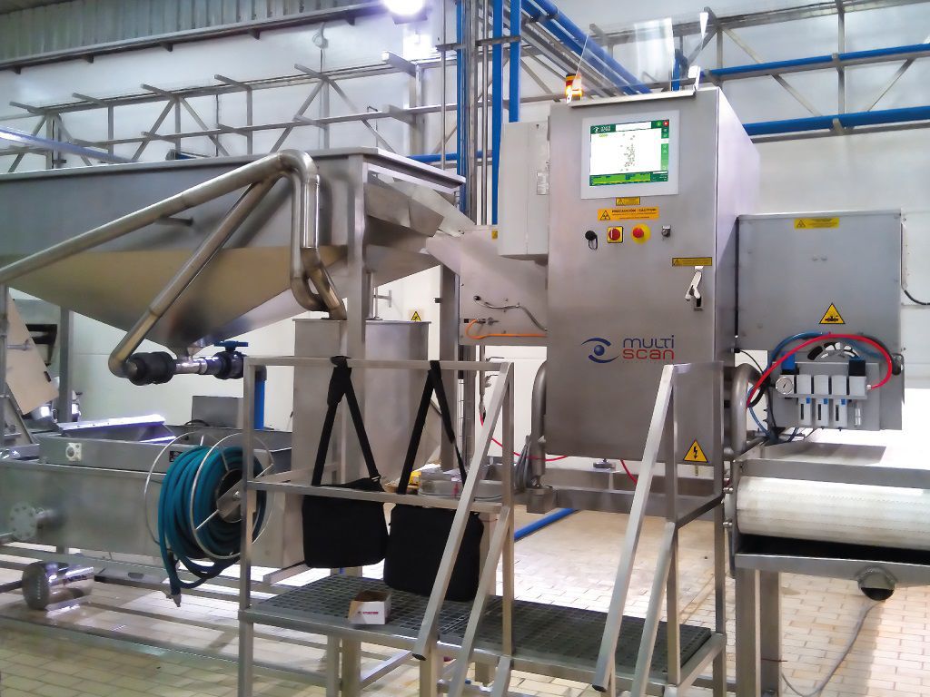 Sistema di smistamento per l'industria agroalimentare - MXV-BULK PD - Multiscan Systems - a ...