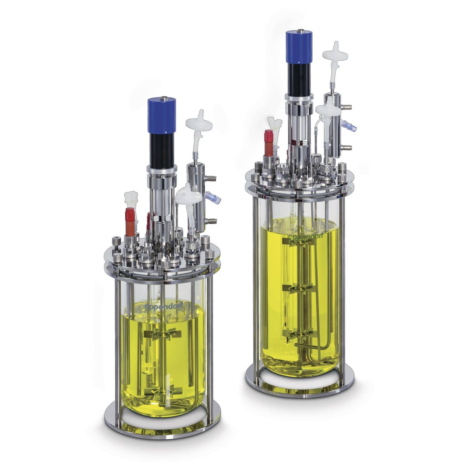 Bioreattore di processo - DASGIP® series - Eppendorf SE - di sintesi ...