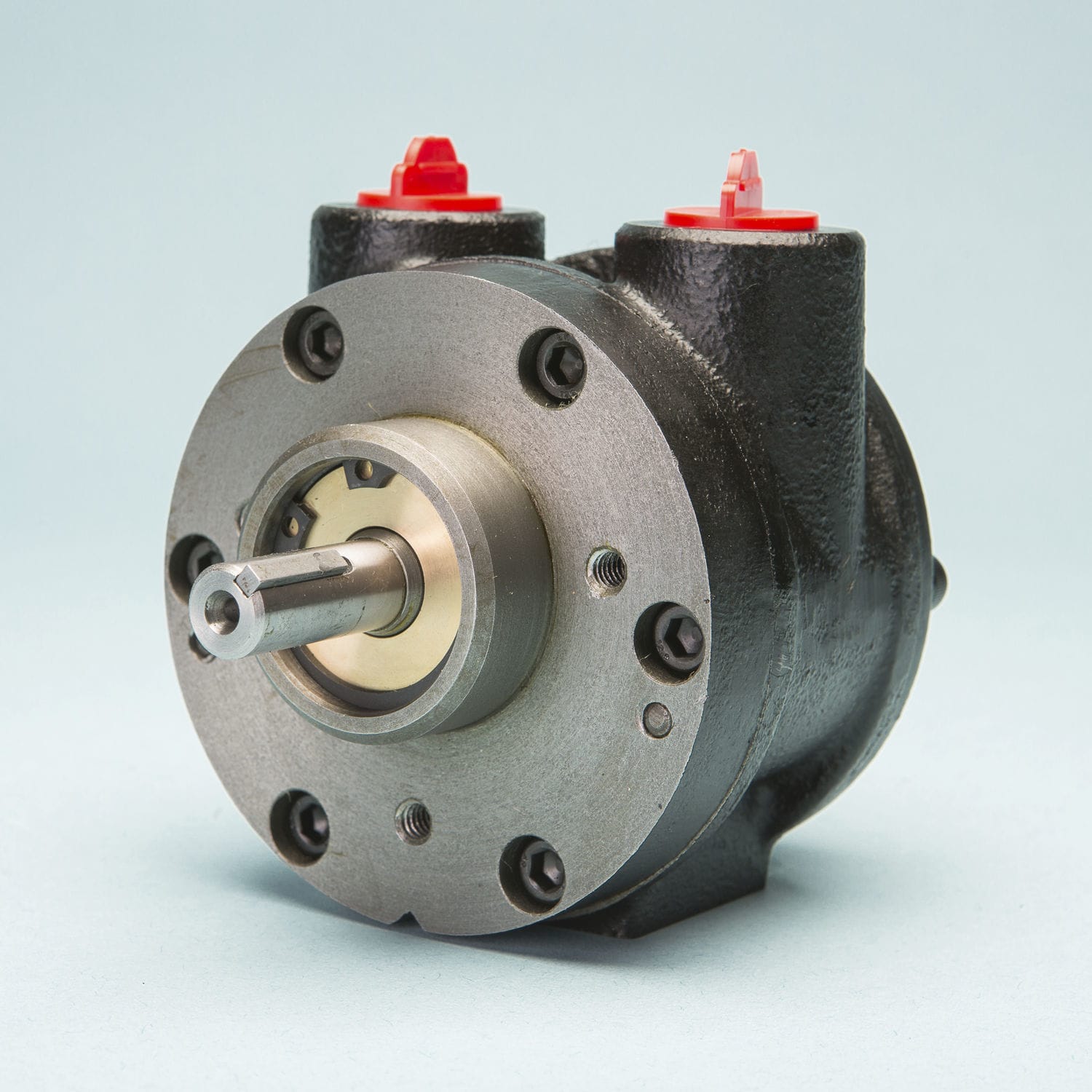 Motore pneumatico a paletta - V2 series - GLOBE Airmotors, Test ...