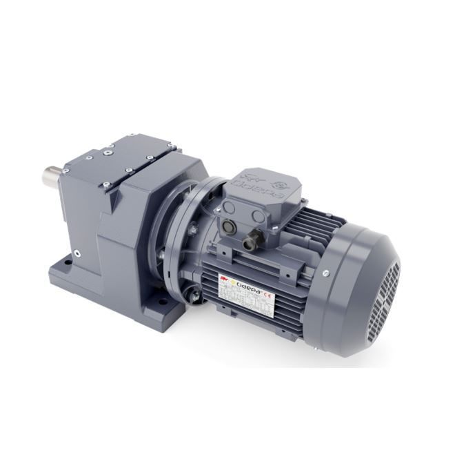 Moto-riduttore ad alta coppia - CRM series - Cidepa Sincron - DC ...