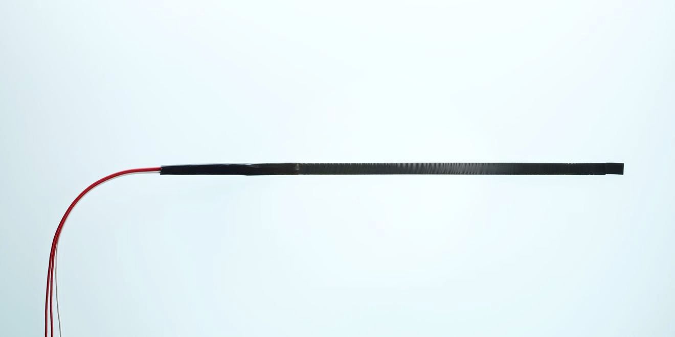 Sensore di temperatura a resistenza di platino - NWT-FLEX - EPHYMESS GmbH - ATEX / 2 cavi / 3 cavi