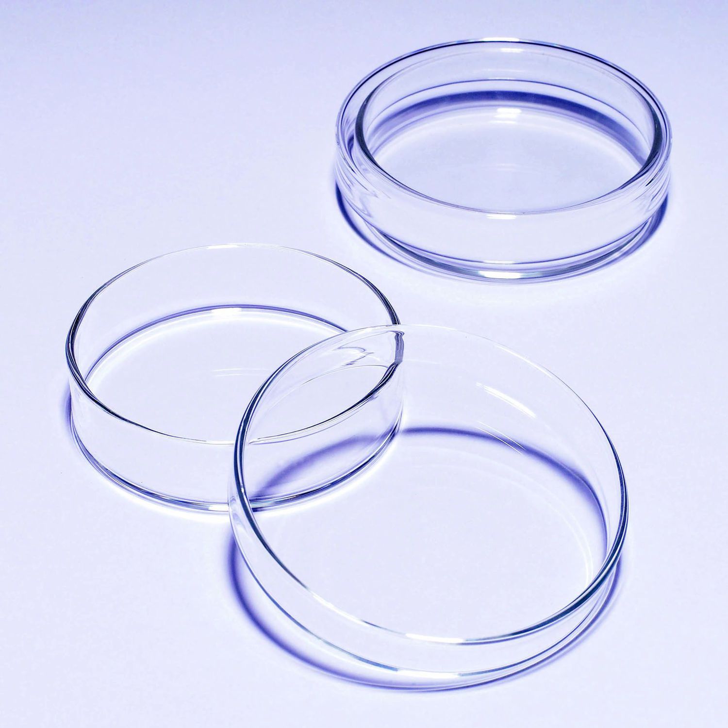 Piastra di Petri in vetro - 1480 series - SciLabware Limited