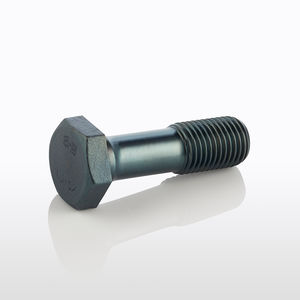 Bullone a testa esagonale - 0025 - Blaj Fasteners