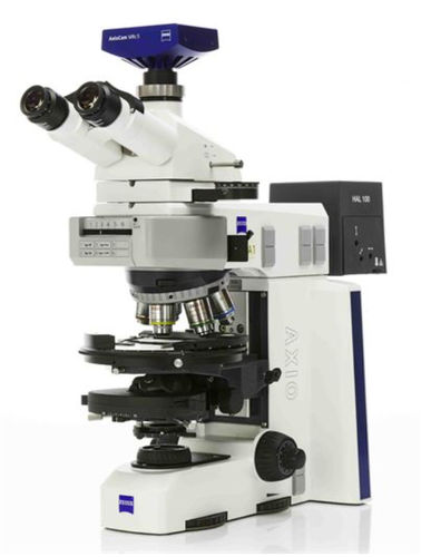 Microscopio metallografico - AxioScope A1 MAT - Hitech Instruments - da ricerca / di misura ...
