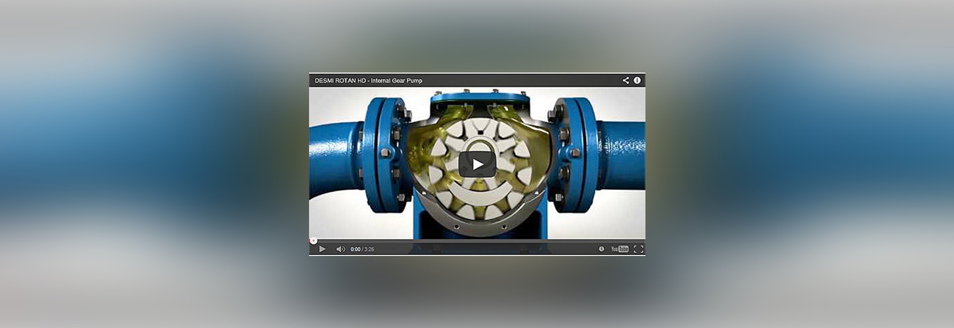 nuovo video interno (resistente) della pompa a ingranaggi di DESMI ...