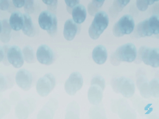 Omogeneizzazione con miscelatori ad alto taglio - United Kingdom ...