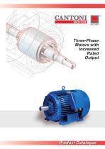 Motore trifase - Sg100L-4A - Cantoni Motor - ad induzione / 400 V / 380 V